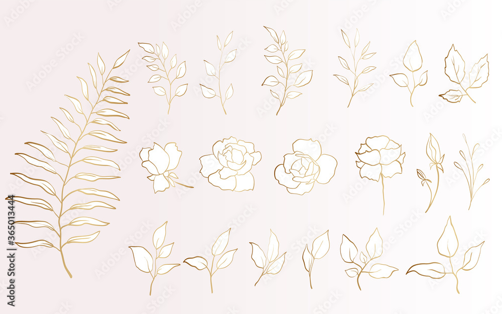 Set of golden floral elements. Gold flower and leaves. Vector ...