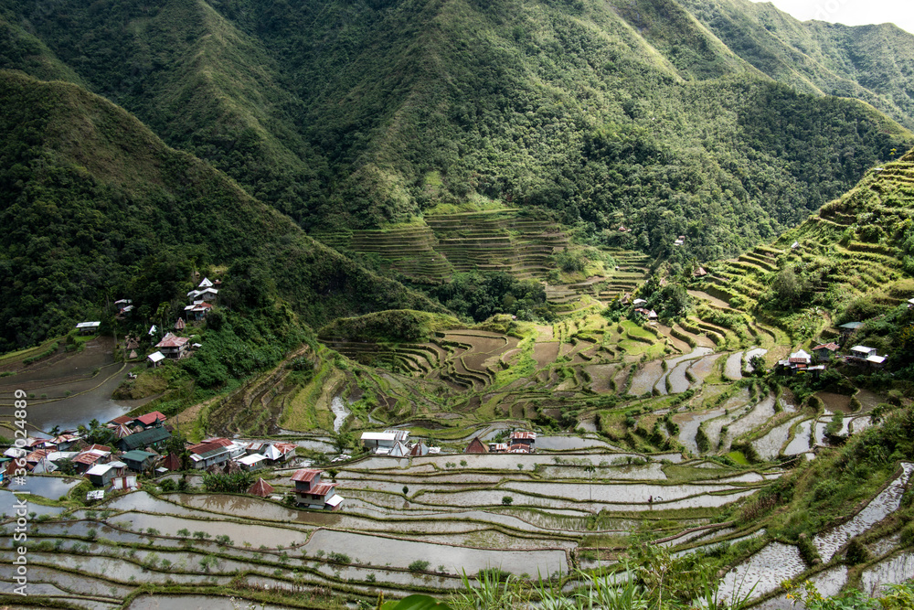 The Batad village cluster-part of the Rice Terraces of the Philippine ...