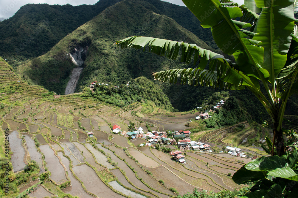 The Batad village cluster-part of the Rice Terraces of the Philippine ...