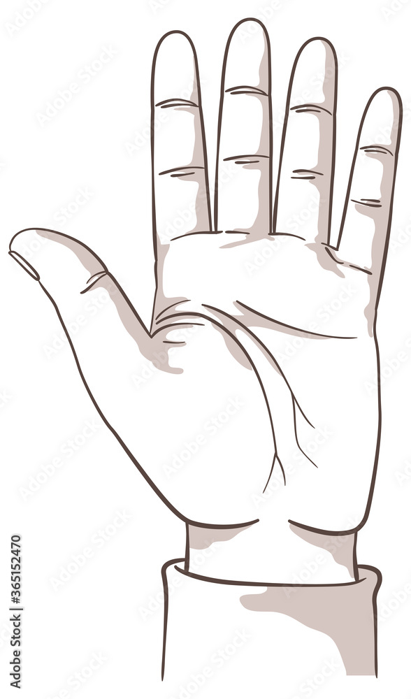Stop Hand Sign. Illustration isolated on white background of a hand ...