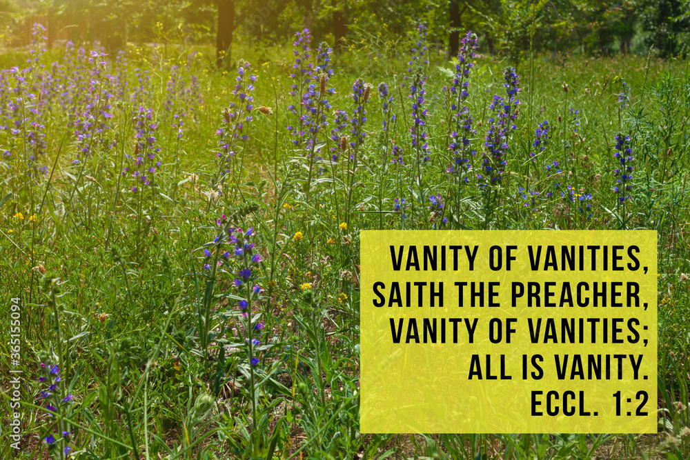 Bible quotes on blurred nature background. Card with text sign for ...