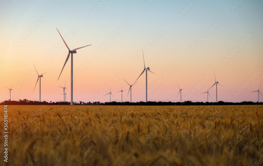 Wind turbines and agricultural field on a summer day. Energy production ...