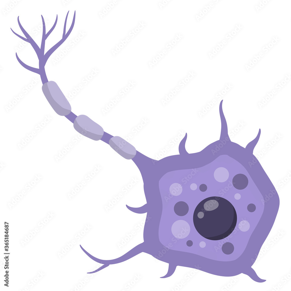 Blue neuron cell. Membrane and the nucleus. Scientific cartoon ...