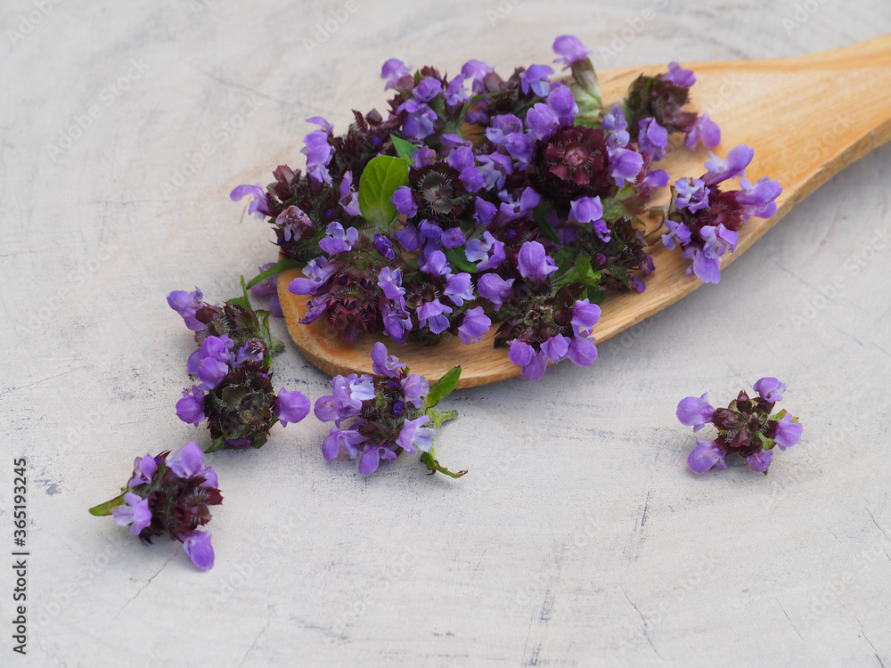 Medicinal plant Prunella vulgaris with blue flowers in a wooden spoon ...