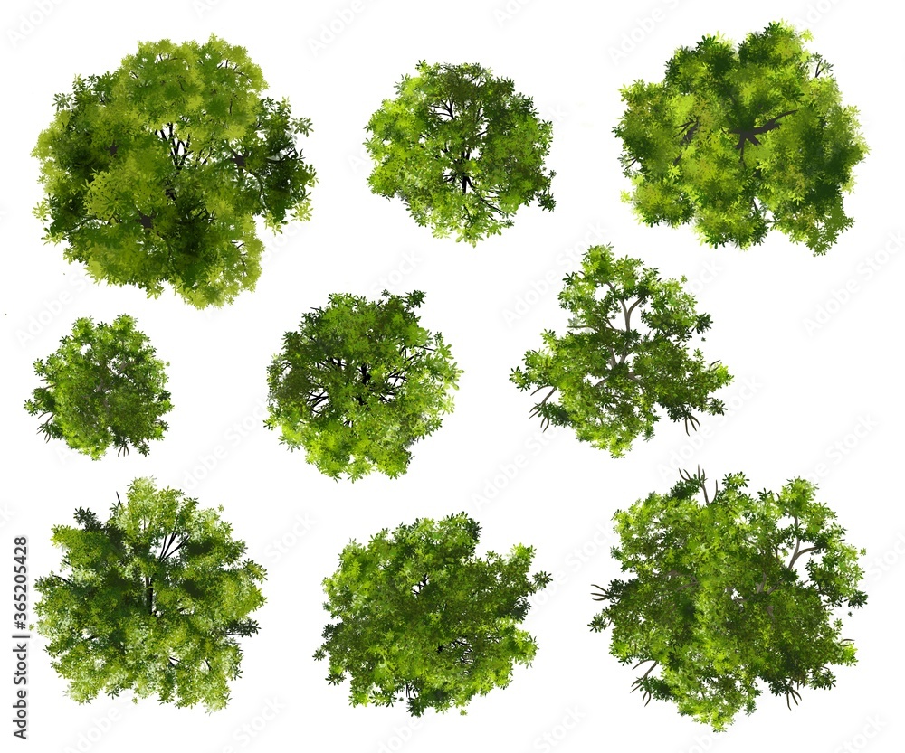 Tree Top View Sketch