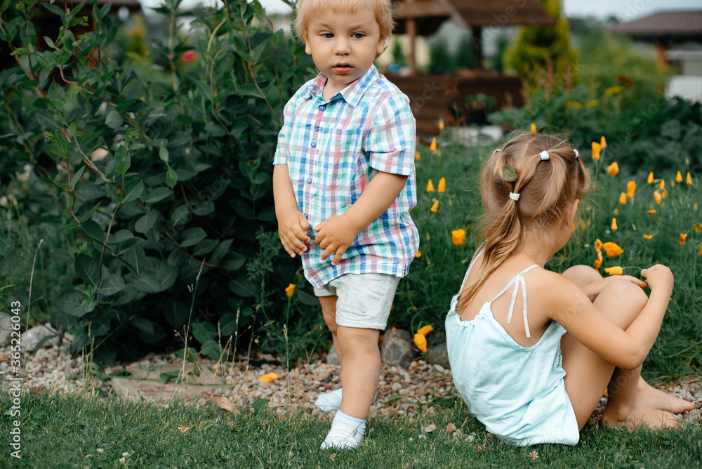 The little girl was offended by the boy, sitting sad clutching his ...