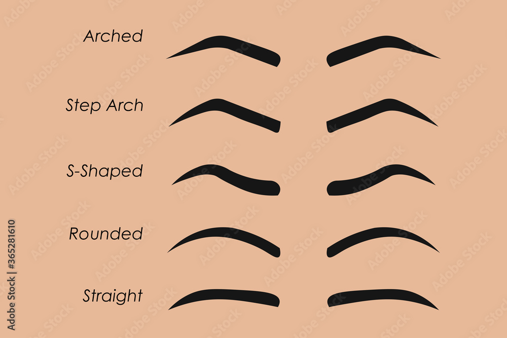 Male and female eyebrows of different shapes and types. Vector ...