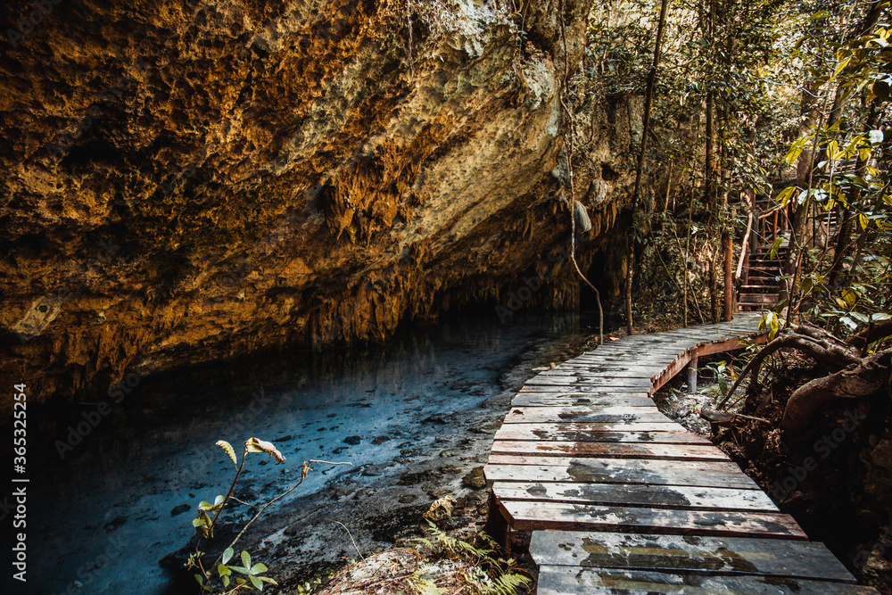 Bright Blue Water, Stone Cave Wall, and Jungle Vines of a Cenote Stock ...