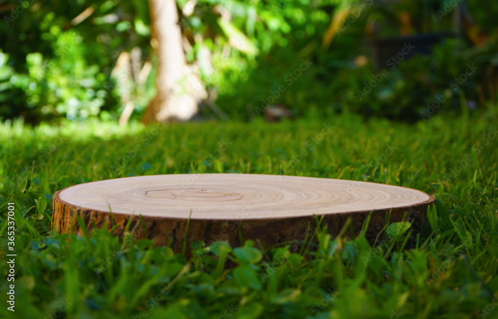 Garden podium Tree trunk green background Stock Photo | Adobe Stock
