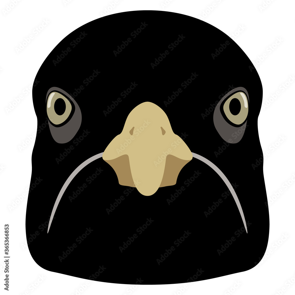 Stylized funny face of a bird. Cartoon style. Pigeon mask. Stock Vector ...