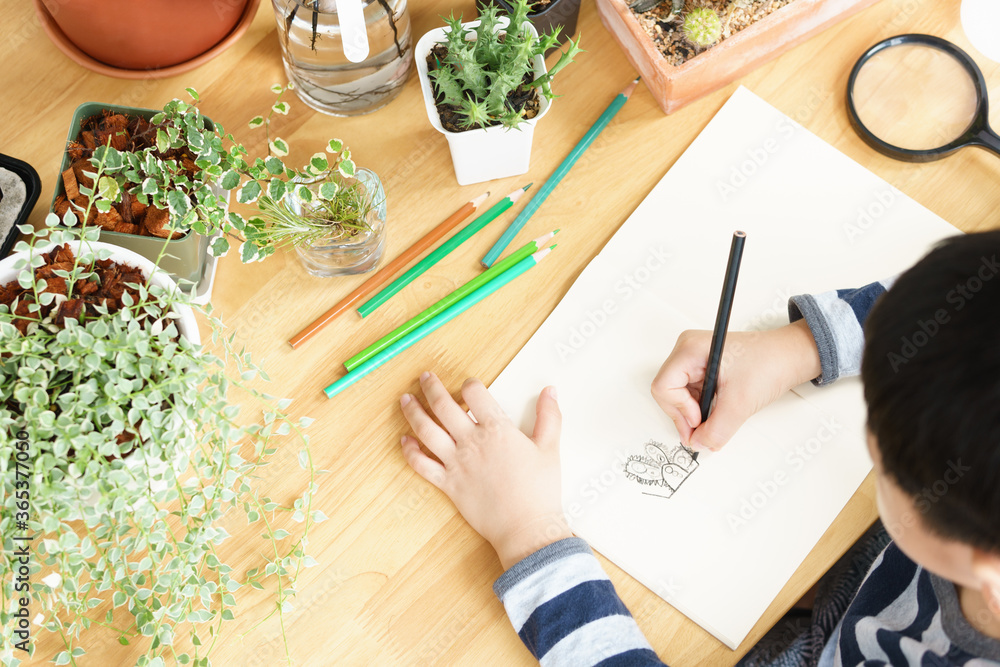 Top view of little Asian kid sketching and drawing houseplants and ...