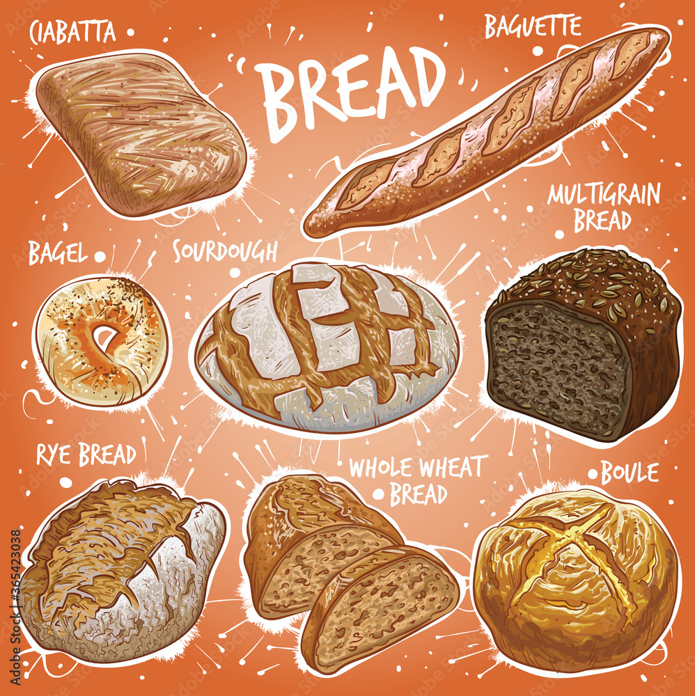 Hand drawn vector illustration set of bread varieties. Stock Vector ...