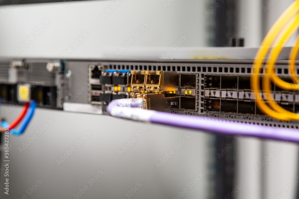 Purple patch cord inserted into the large router. SFP modules ...
