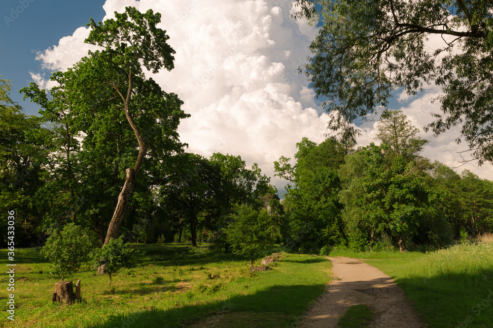 Walk in the park in the Albertino estate, the city of Slonim, Belarus ...