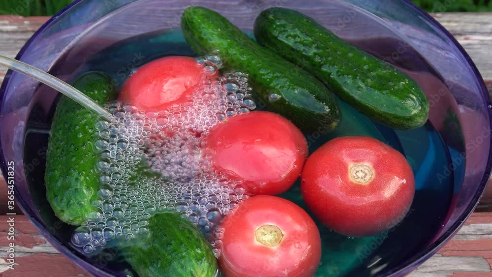 Processing tomato and cucumber with ozone. Vegetables in the water into ...