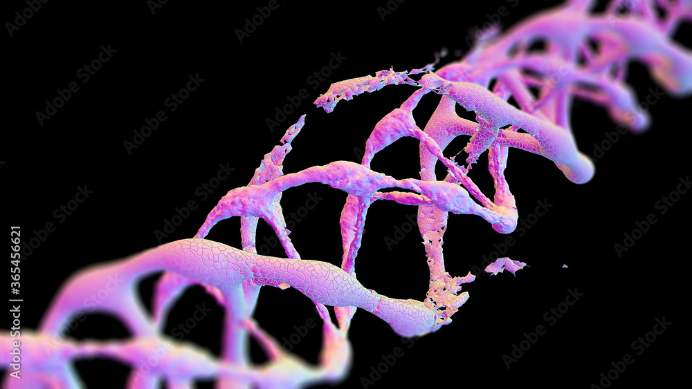 Electron Microscope Dna