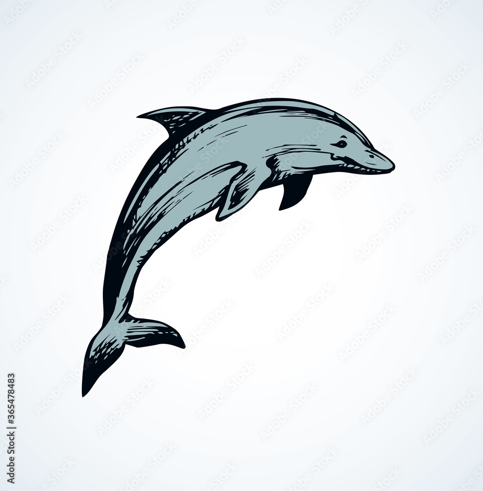 Dolphin. Vector drawing Stock Vector | Adobe Stock