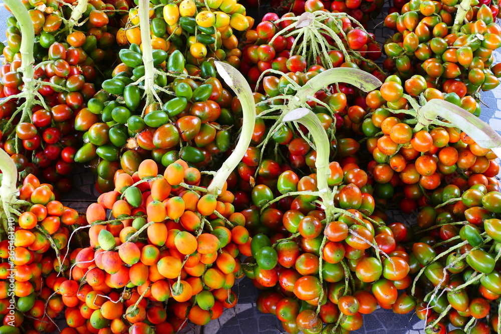 Pupunha fruits (Bactris gasipaes), an edible and delicate palm fruit ...