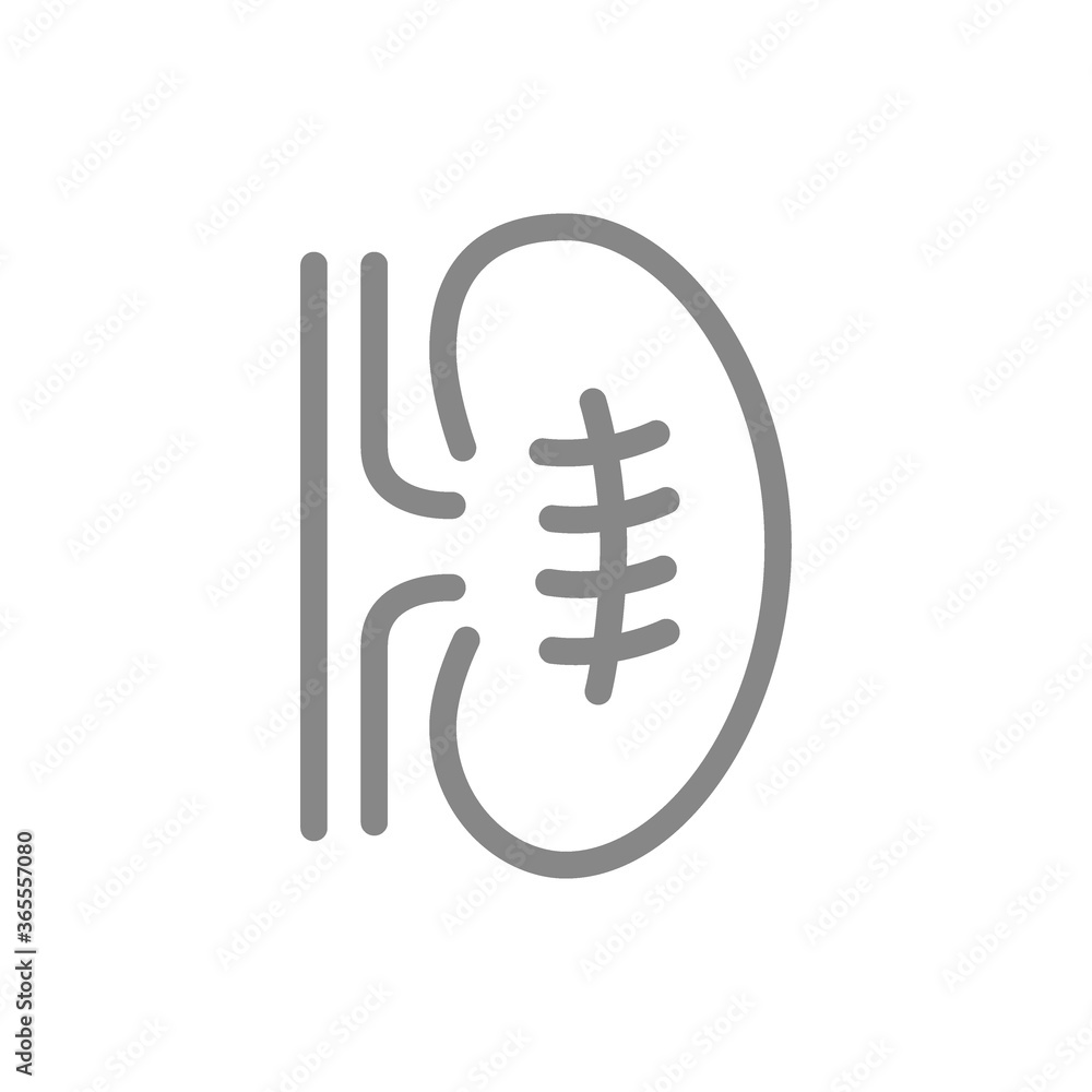 Scar on kidney line icon. Kidney stone removal, internal organ surgery ...