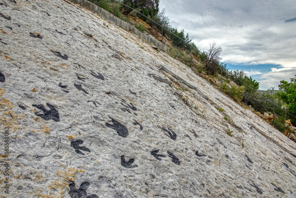 Dinosaur fossil tracks in the Denver Metro Area Stock Photo | Adobe Stock