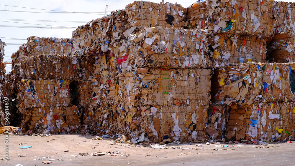 Bales of cardboard and box board. Wastepaper for Recycling. Background ...