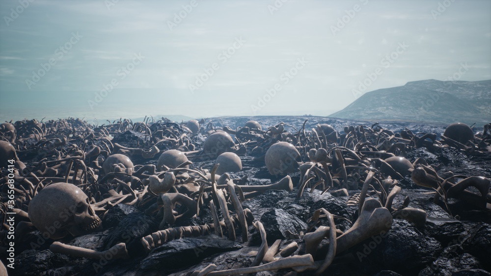 Old human skulls and bones left over from the battle. The concept of ...