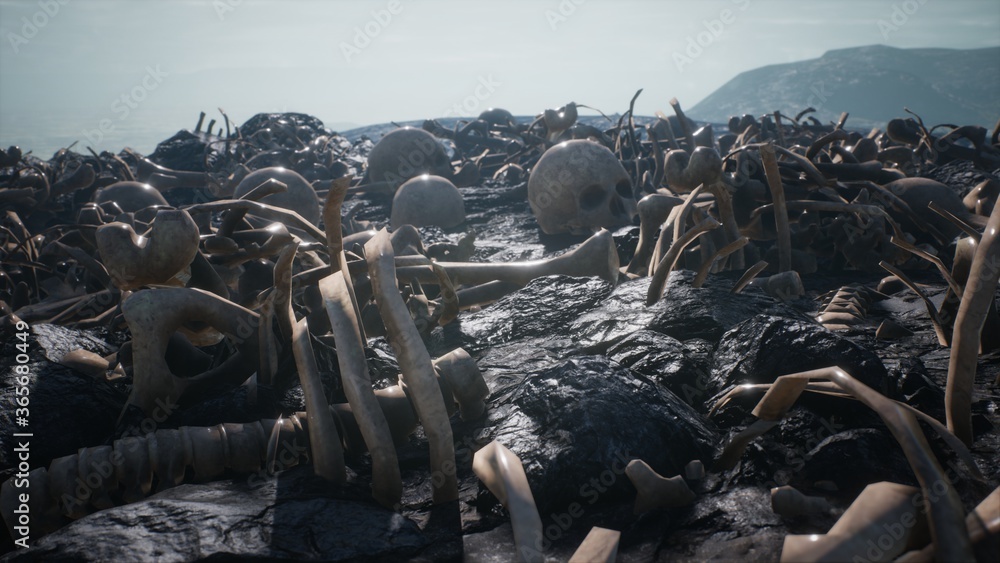 Old human skulls and bones left over from the battle. The concept of ...