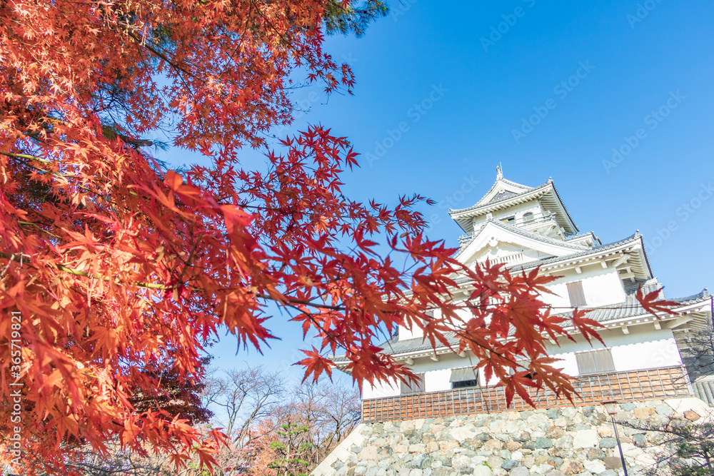 Nagahama castle with Maple tree in Shiga, japan Stock Photo | Adobe Stock