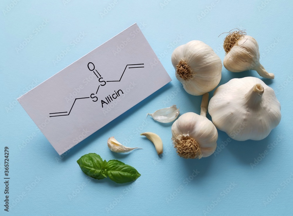 Structural chemical formula of allicin molecule with raw garlic ...