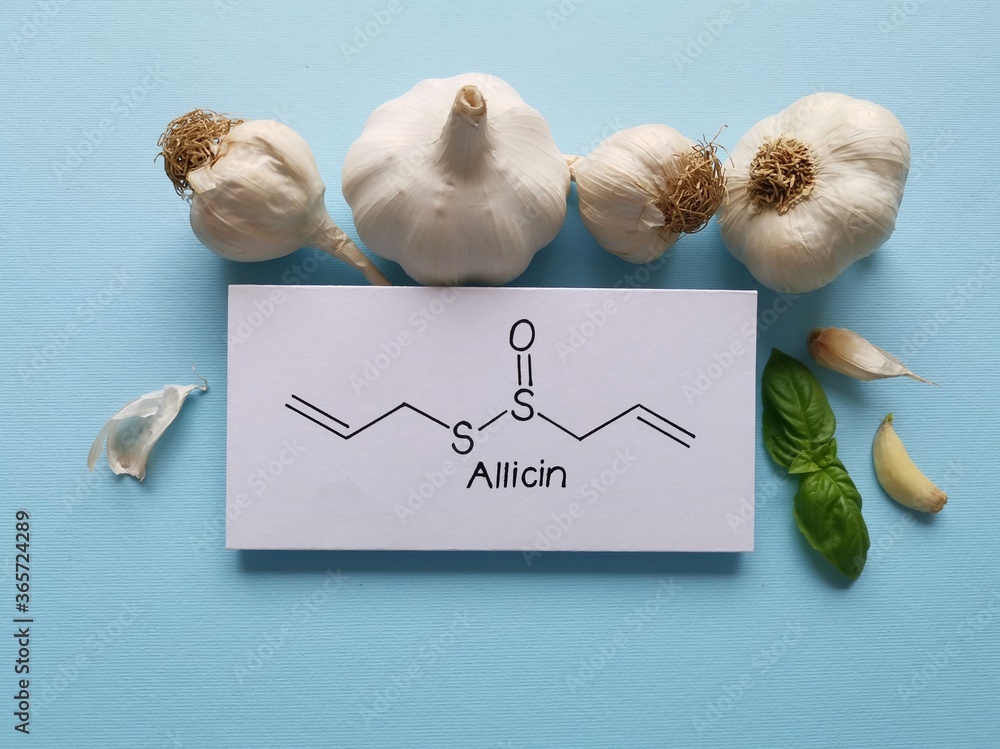 Structural chemical formula of allicin molecule with raw garlic ...