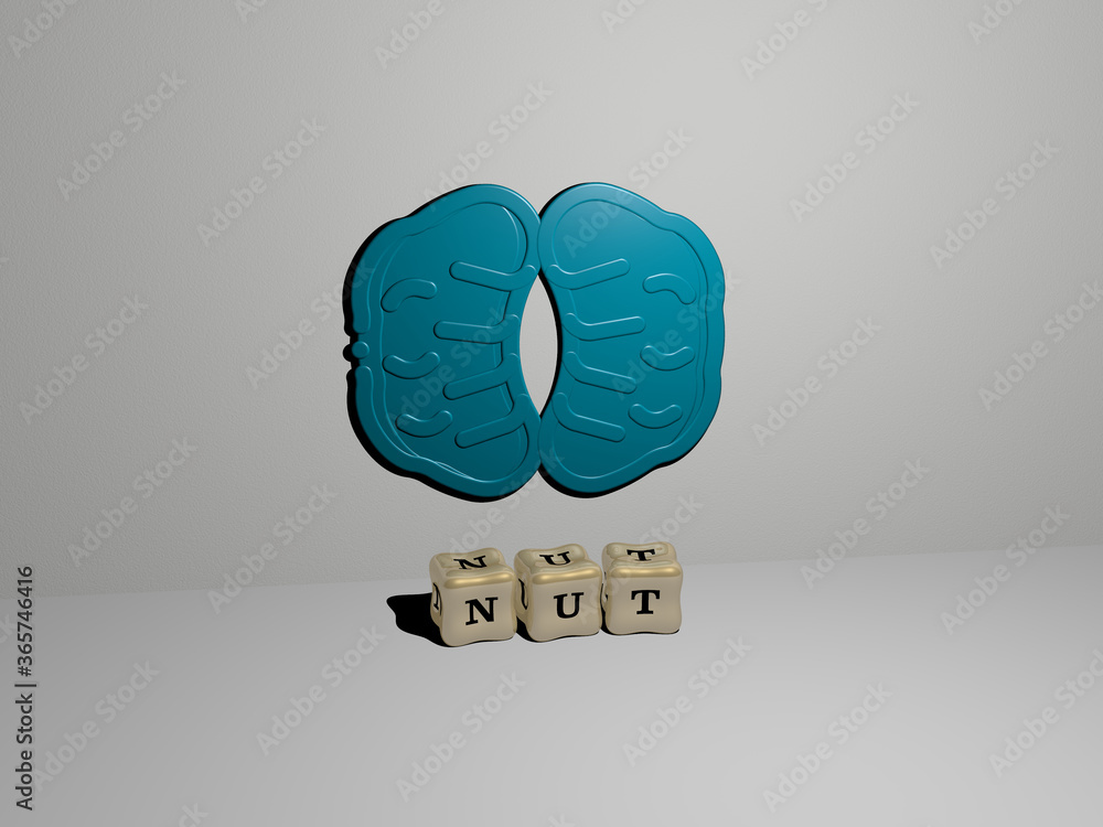 3D representation of NUT with icon on the wall and text arranged by ...