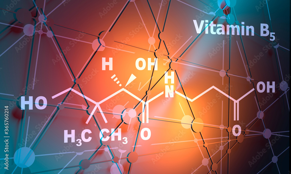 Pantothenic acid or vitamin B5 structural chemical formula. Connected ...