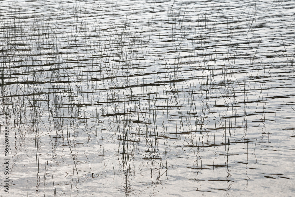 Straw shadow painted over lake surface Stock Photo | Adobe Stock