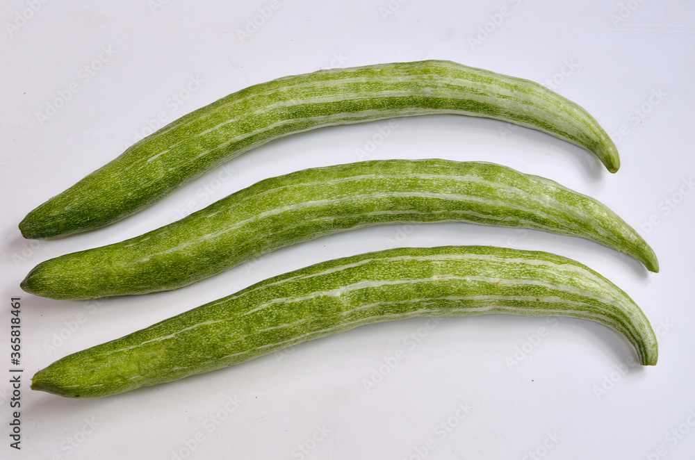 Snake gourd with background Stock Photo | Adobe Stock