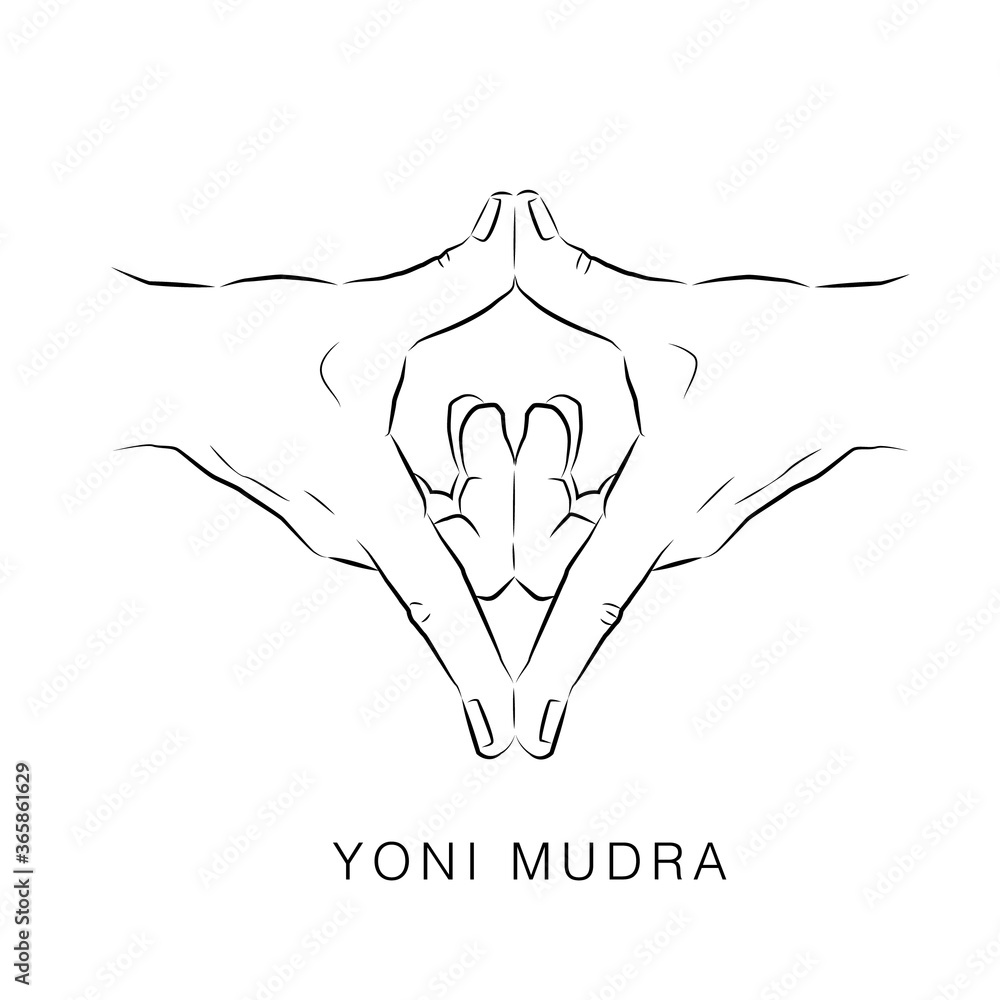 Yoni mudra illustration, yoga hand gesture, yoga teacher training Stock ...