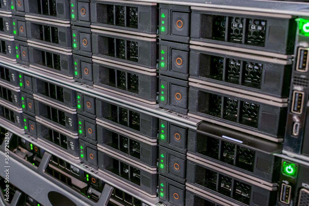 Many hard drives are installed in the storage server slots. Hosting of ...