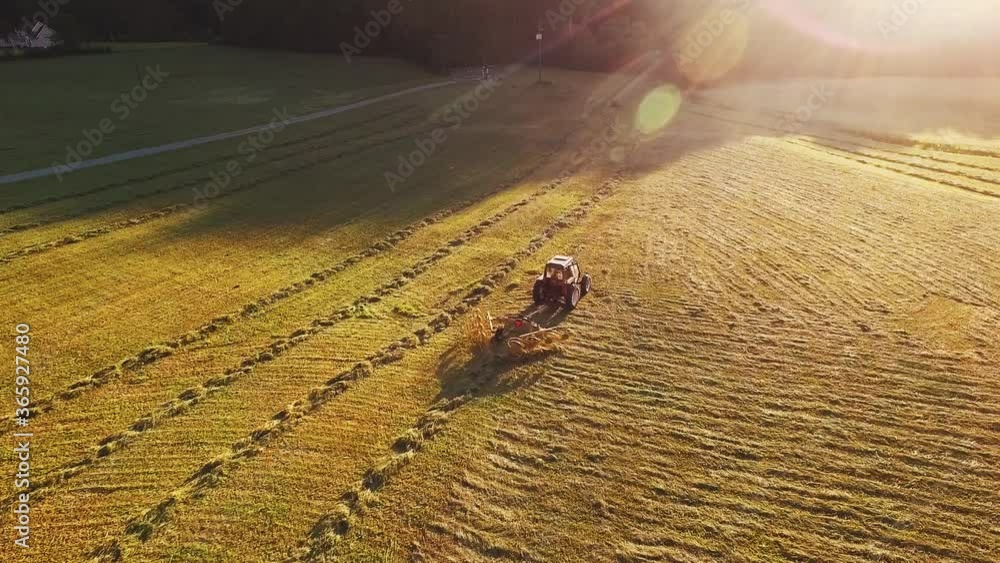 Hay Rake Raking Hay Into Wind Rows In Golden Hour Light With Lens ...