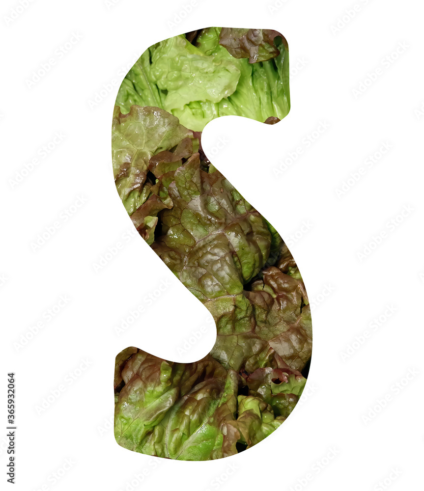 Letter S from a here available alphabet of single letters and numbers ...