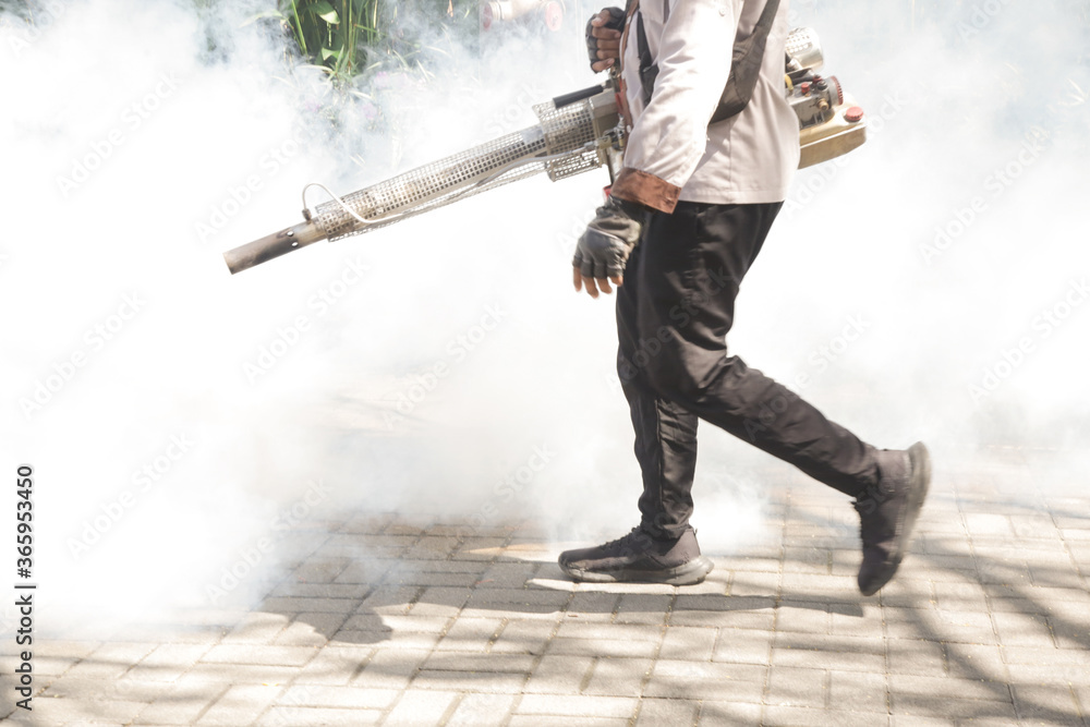 Handheld mosquitos fogger. Man fogging to eliminate mosquitos from the ...