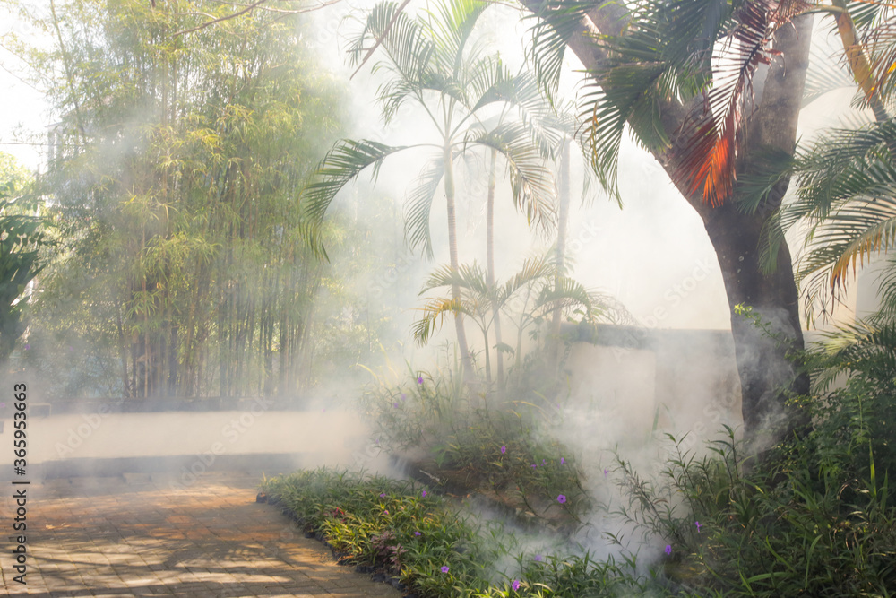 Tropical garden after mosquito repellent fogging operation. Stock Photo ...