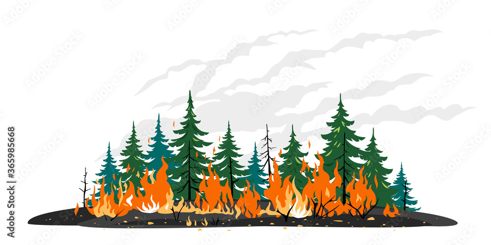 Burning forest spruces in fire flames clipart template, nature disaster ...