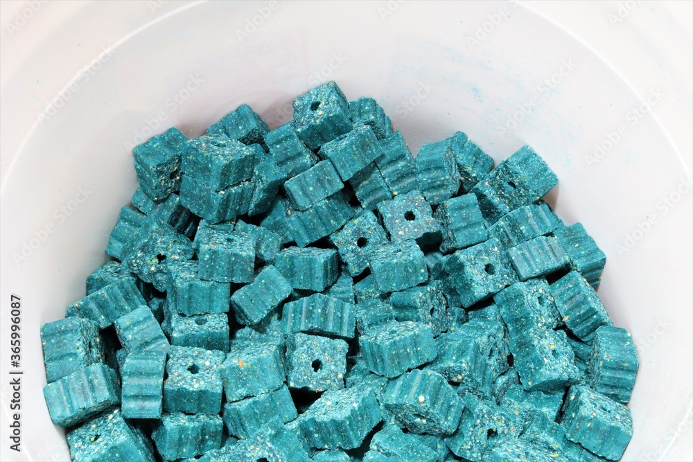 Gloved hand holding blue rodent poison.These dry poison blocks can be ...