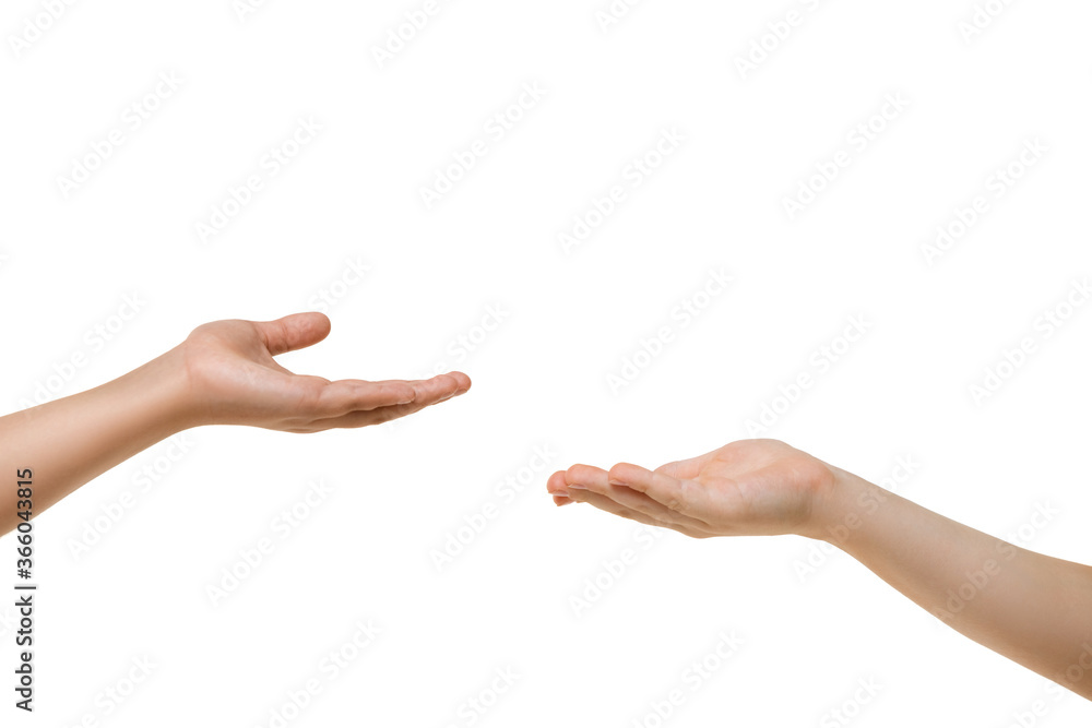 Palms, giving. Children's hand, palm gesturing isolated on white studio ...