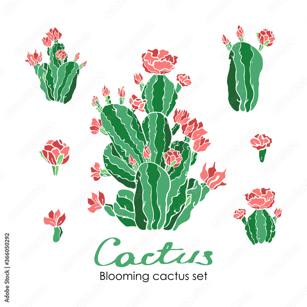 Vector set of blooming cactus. Mexican cactus with vibrant flowers in ...