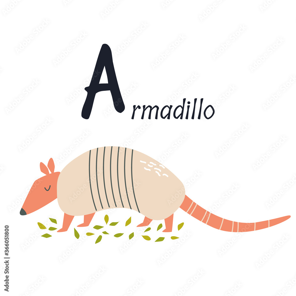 Funny image of armadillo and letter A. Zoo alphabet collection. Stock ...