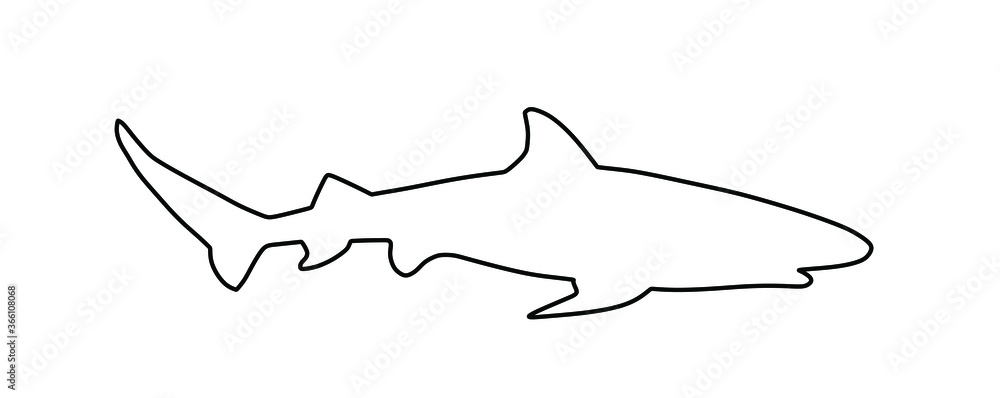 Reef shark line contour vector isolated on white background. Sea ...
