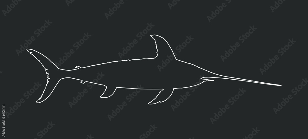 Swordfish line contour vector illustration isolated on black background ...