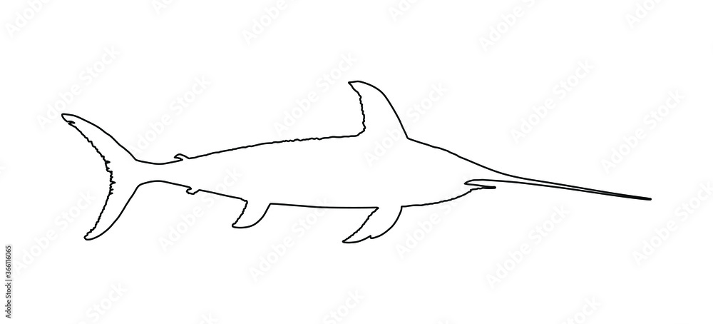 Swordfish line contour vector illustration isolated on white background ...