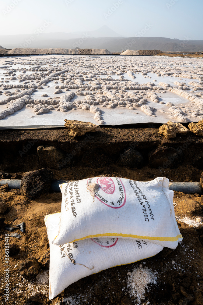 Foto de Salt bags and salt mine, Lake Afrera (Lake Afdera), Danakil ...