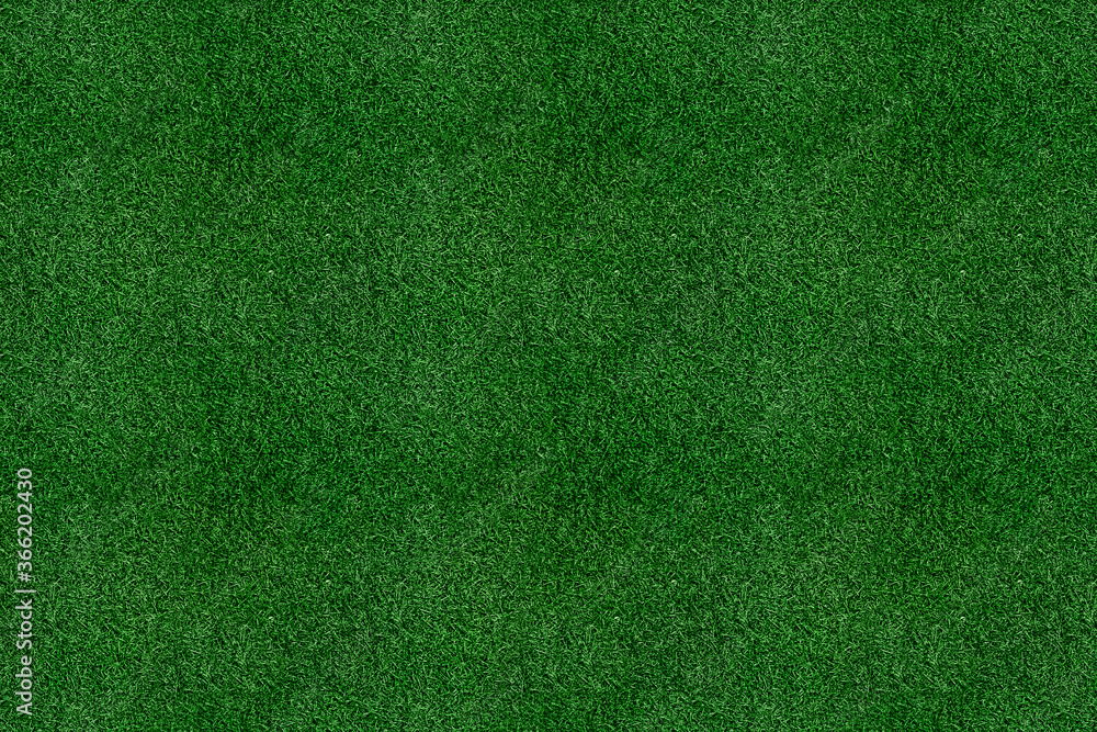 Green grass lawn background texture from top view. Abstract garden ...